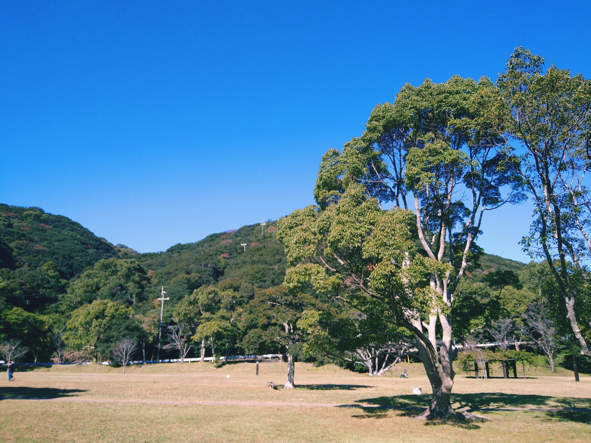 【和歌山】休暇村紀州加太オートキャンプ場レビュー｜温泉と充実設備で快適キャンプ | にじノート