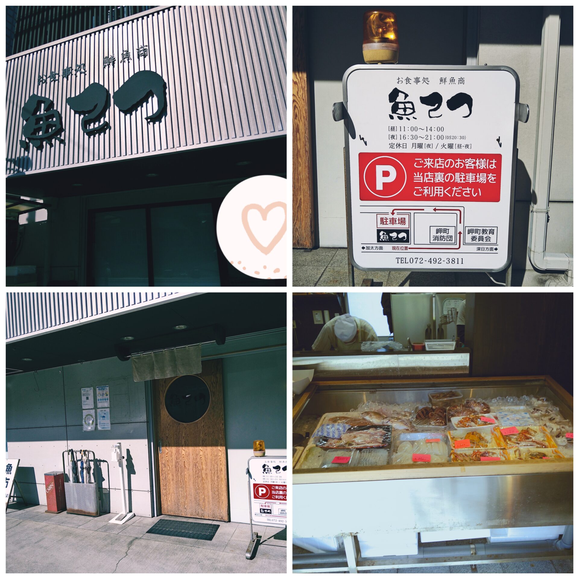 【和歌山】休暇村紀州加太オートキャンプ場レビュー｜温泉と充実設備で快適キャンプ | にじノート